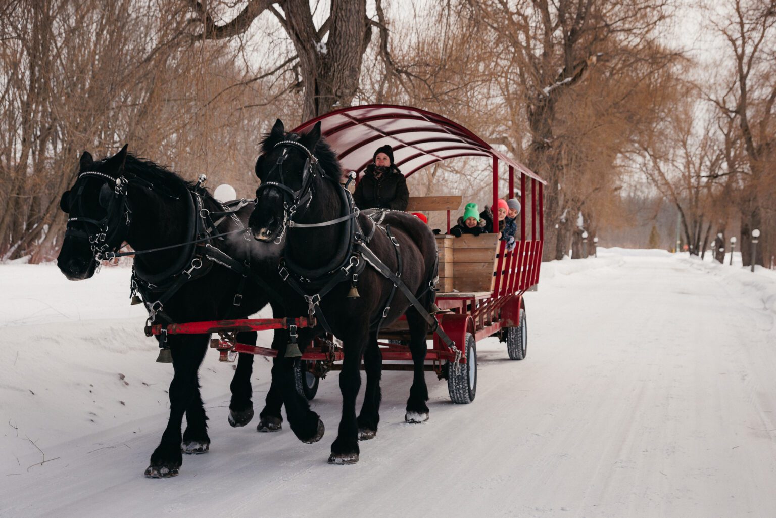 Bikepacking the Simcoe County Loop Trail - Tourism Simcoe County